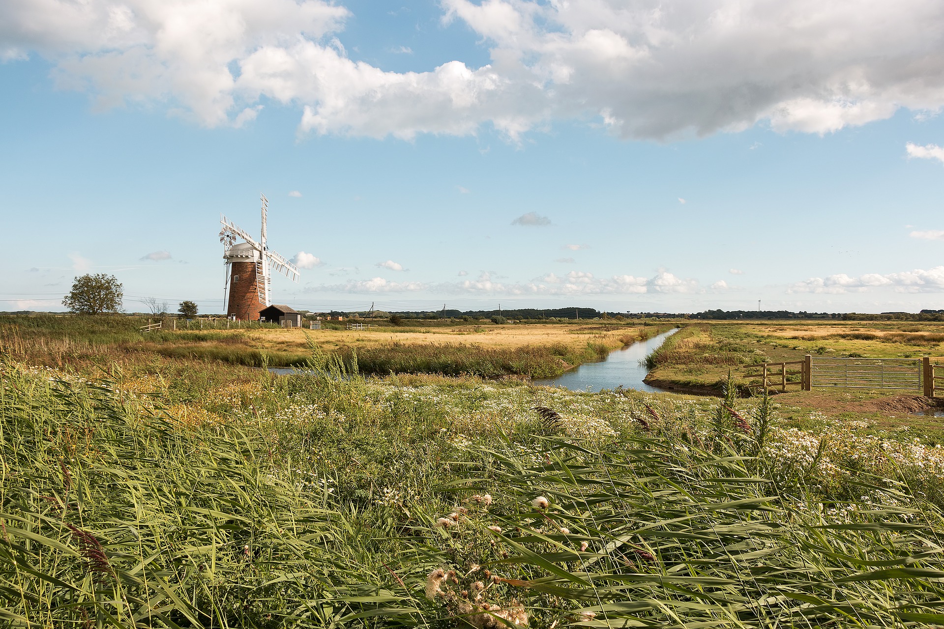 Norfolk's Joint Strategic Needs Assessment (JSNA) - Norfolk Insight